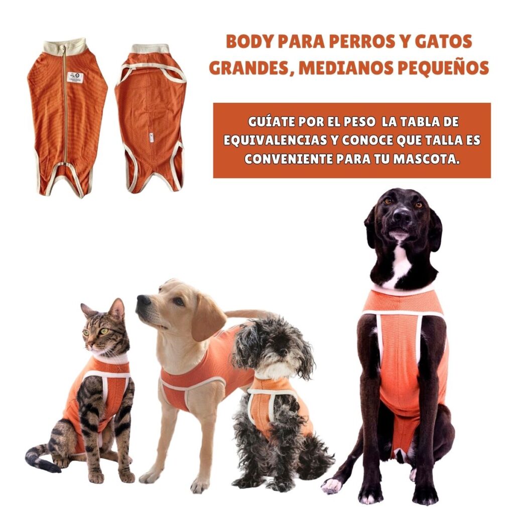 Body Cobre Post Operatorio - Fauna Salud