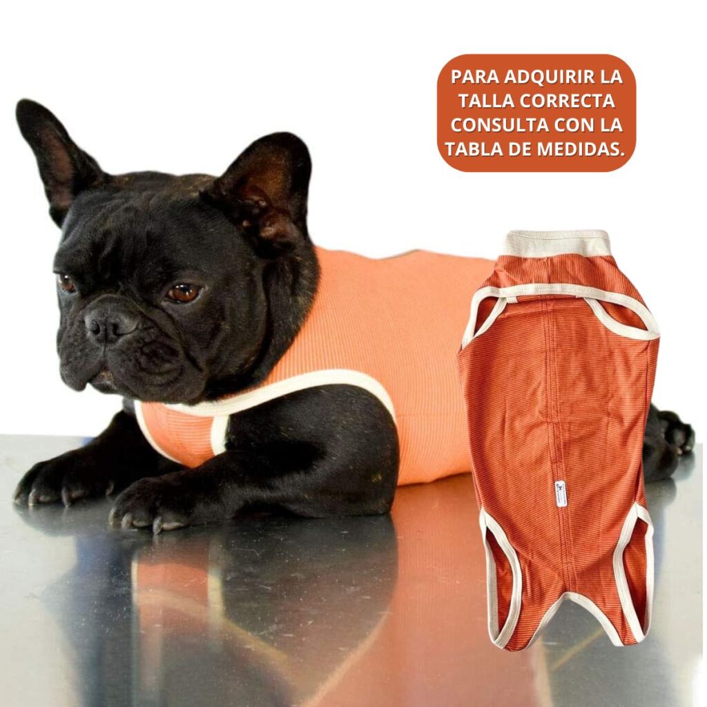 Body Cobre: La Mejor Protección Post Operatoria para tu Mascota - Fauna ...